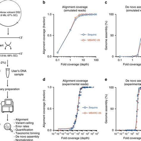 Schematic Showing The Design Use And Validation Of DNA Sequencing Download Scientific Diagram