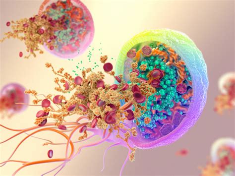 小细胞肺癌和非小细胞肺癌的区别需要活检吗 小细胞肺癌 肺癌 肿瘤疾病大全 癌症肿瘤科普知识 有来医生