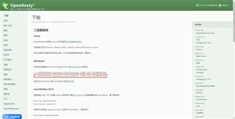 Idea中配置openresty开发环境 灰信网（软件开发博客聚合）
