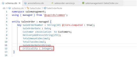Sap Cap Create User Interface And Customizing Bussiness Logic In