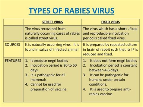 Rabies Ppt