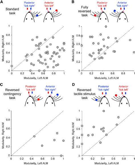 Figure 3 From Modularity And Robustness Of Frontal Cortical Networks