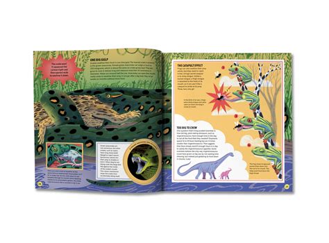 Open Wide What On Earth What On Earth Books