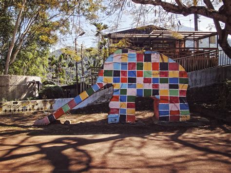 Pi Cheng Hsiu Traverses Taiwan To Document A Disappearing Population Of Elephant Slides — Colossal