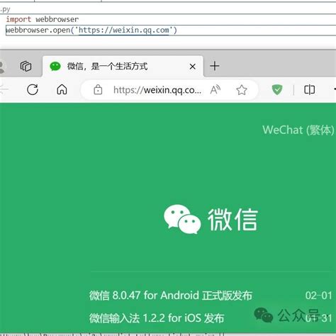简单实现Python中浏览器的控制webbrowser模块详解 极客之音