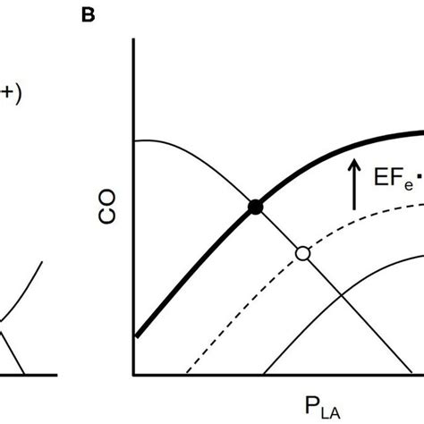 A The Ventricular Arterial Coupling In The Pressure Volume