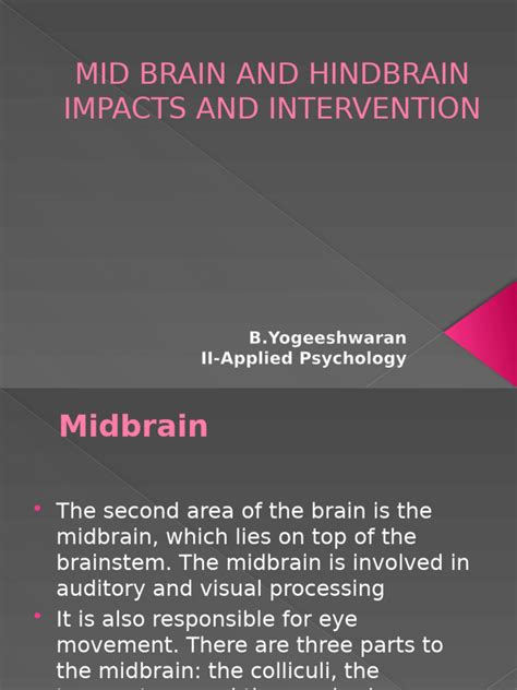 Mid Brain And Hindbrain Pdf