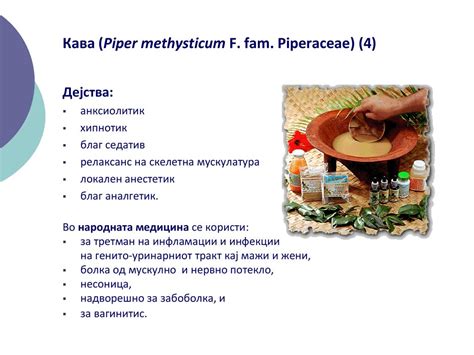 Растителни дроги и природни производи третманот на Ppt Download