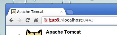 Enable SSL Secure Socket Layer In Apache Tomcat 5 5 6 Y 7 Jaehoo Weblog