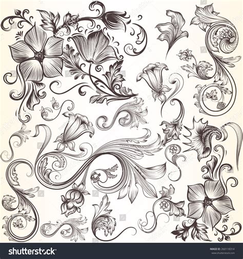 Vector Set Swirl Elements Design Calligraphic Immagine Vettoriale Stock Royalty Free