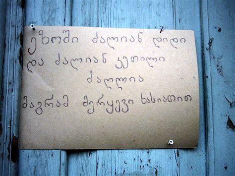 ძალიან დიდი და ძალიან კეთილი ძაღლი Dave M Flickr