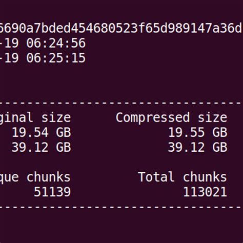 borg backup alternatives for windows