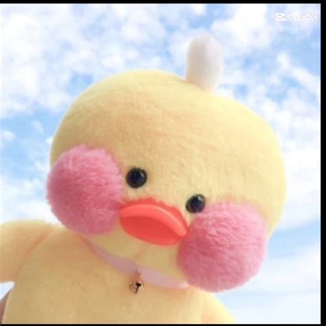 팀나빠 학교 여우 Zeta