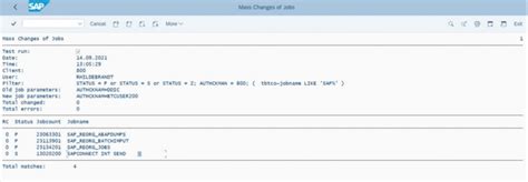 Protecting Sap Standard Users Sap Security Pathlock