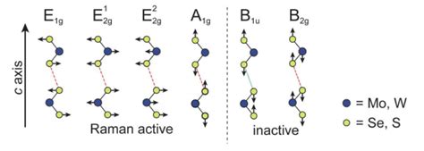 5 Schematic Drawing Of The Four Raman Active And Two Inactive Modes Of Download Scientific