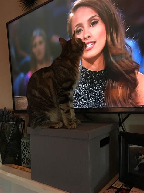 I Think My Kitten Likes Vanessa R Thebachelor