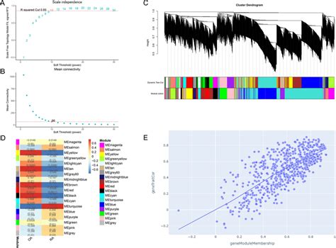identification of ra related module a graph of scale independence