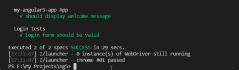 end to end e2e tests in angular application using protractor