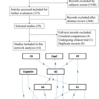 Flow Chart And Network Structure Download Scientific Diagram