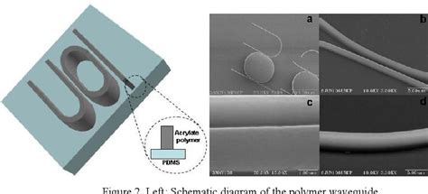 Figure 1 From Microring Resonators Using Multiphoton Absorption Polymerization Semantic Scholar