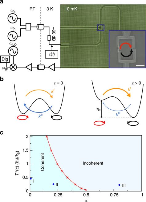 Experimental Setup And Phase Diagram Of The Symmetric Spin Boson Model