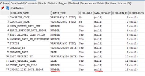 Java Handle Null Pointer Exception When Oracle Data Default Is Null For Data Type Number