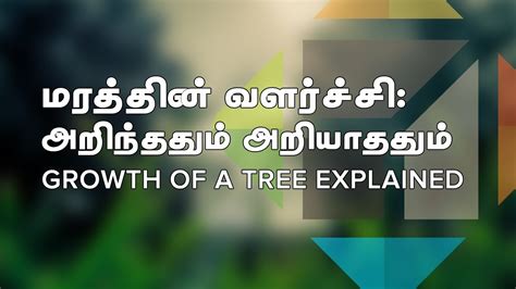 Growth Of A Tree Explained Tamil Screencast Puthunutpam Youtube
