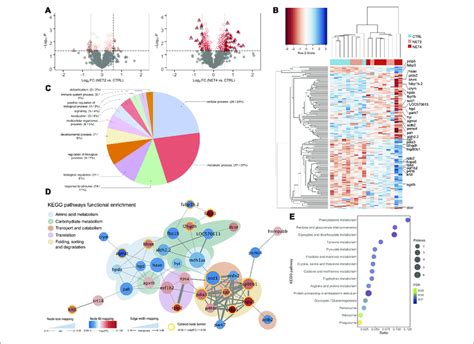 Proteomics Data Analysis Of Net Trial A Volcano Plots Of The Download Scientific Diagram