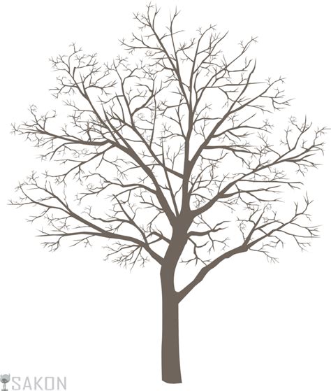 Congratulations The Png Image Has Been Downloaded Trees Drawing Png Transparent Png Pngitem