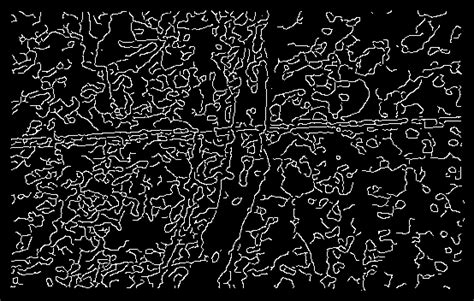 Matlab Canny Edge Detector Is Detecting The Borders Of The Images Stack Overflow