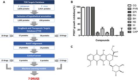 In Silico Chemogenomics Strategy For Drug Repurposing A Flowchart Download Scientific