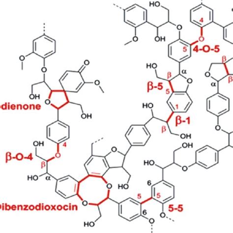 1 Structural Organization And Composition Of Lignocellulosic Biomass Download Scientific