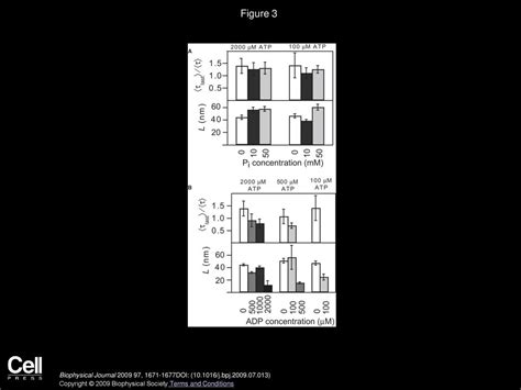 megan t valentine steven m block biophysical journal ppt download