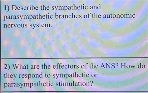 Solved 13 Describe Depolarization Hyperpolarization And
