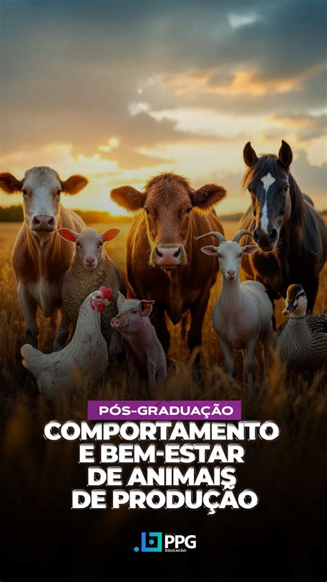 Ppg Educação Seja O Ponto Fora Da Caixa