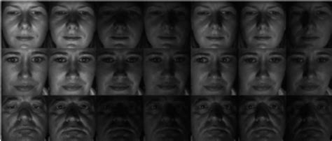 Sample Faces After Preprocessing Download Scientific Diagram