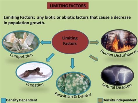 Limiting Factors Examples Biology