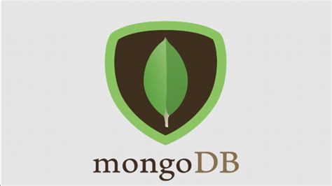 Mongodb Fundamentals Functions And Orm Detailed Guide Express Setup Build The Api Backbone