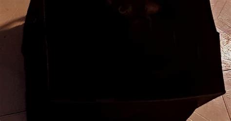 Cloaking Device Album On Imgur