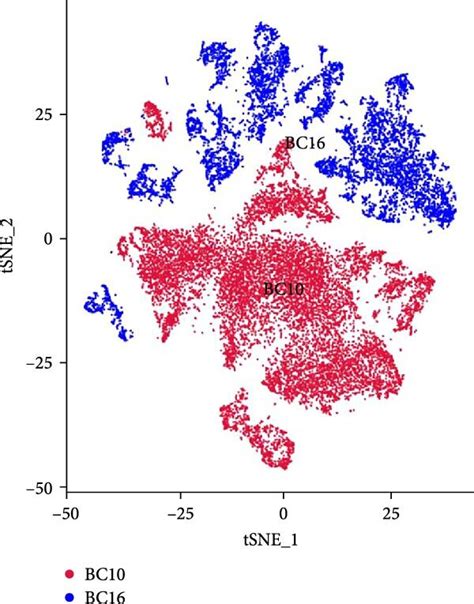 The A Umap And B Tsne Plots Of The Os Scrna Samples Download