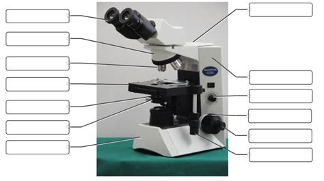 Microbiology Microscope Diagram Diagram Quizlet