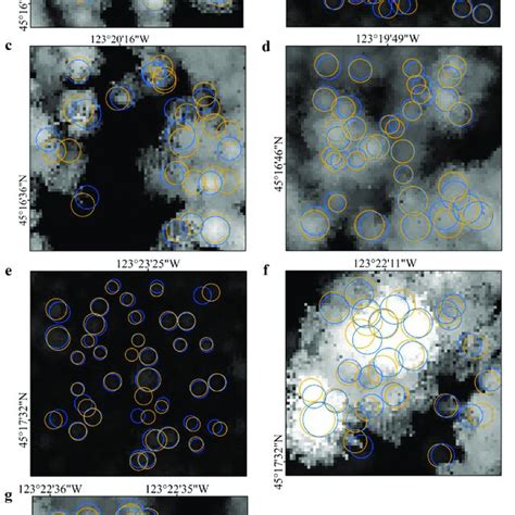 The Flowchart Of Tree Species Classification And Biomass Model Download Scientific Diagram