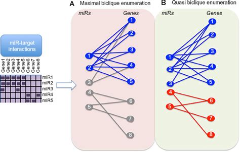 Comparison Of Maximal Biclique And Quasi Biclique Enumeration Of Download Scientific Diagram