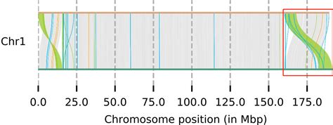 The Parameter Reg Can Not Show Translocation · Issue 167