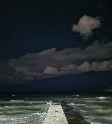 Медведица Пикабу