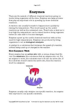 Enzymes Study Guide Practice Questions For Biology By Study Notes By Sam