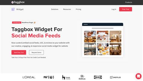Best Social Media Feed Plugins For WordPress Taggbox Widget