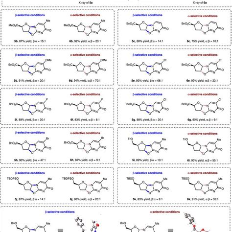 Substrate Scope Of Nucleoside Synthesis Awithout Nai And C1 Bwithout Download Scientific