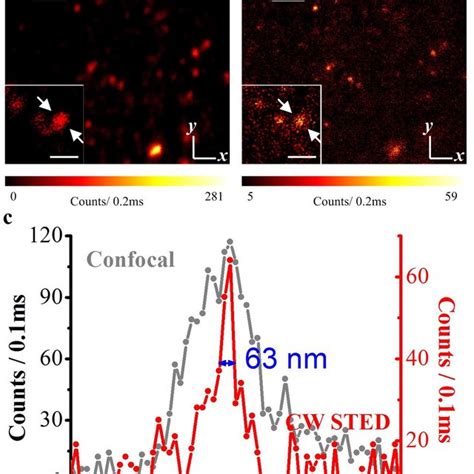 Comparison Of Diffraction Limited Confocal Microscopy And Sted
