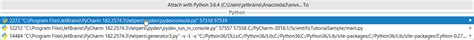 Python Attach To Process